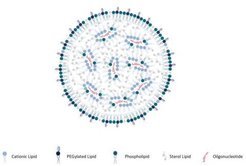 LNP-CRISPR – FormuRx